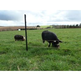 160m Mains Operated 3 Line Electric Fencing Pig Kit | Electric Fencing ...
