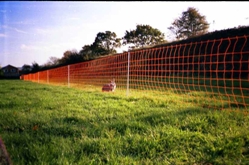 Rabbit Netting - Used to Keep Rabbits Out or In.
