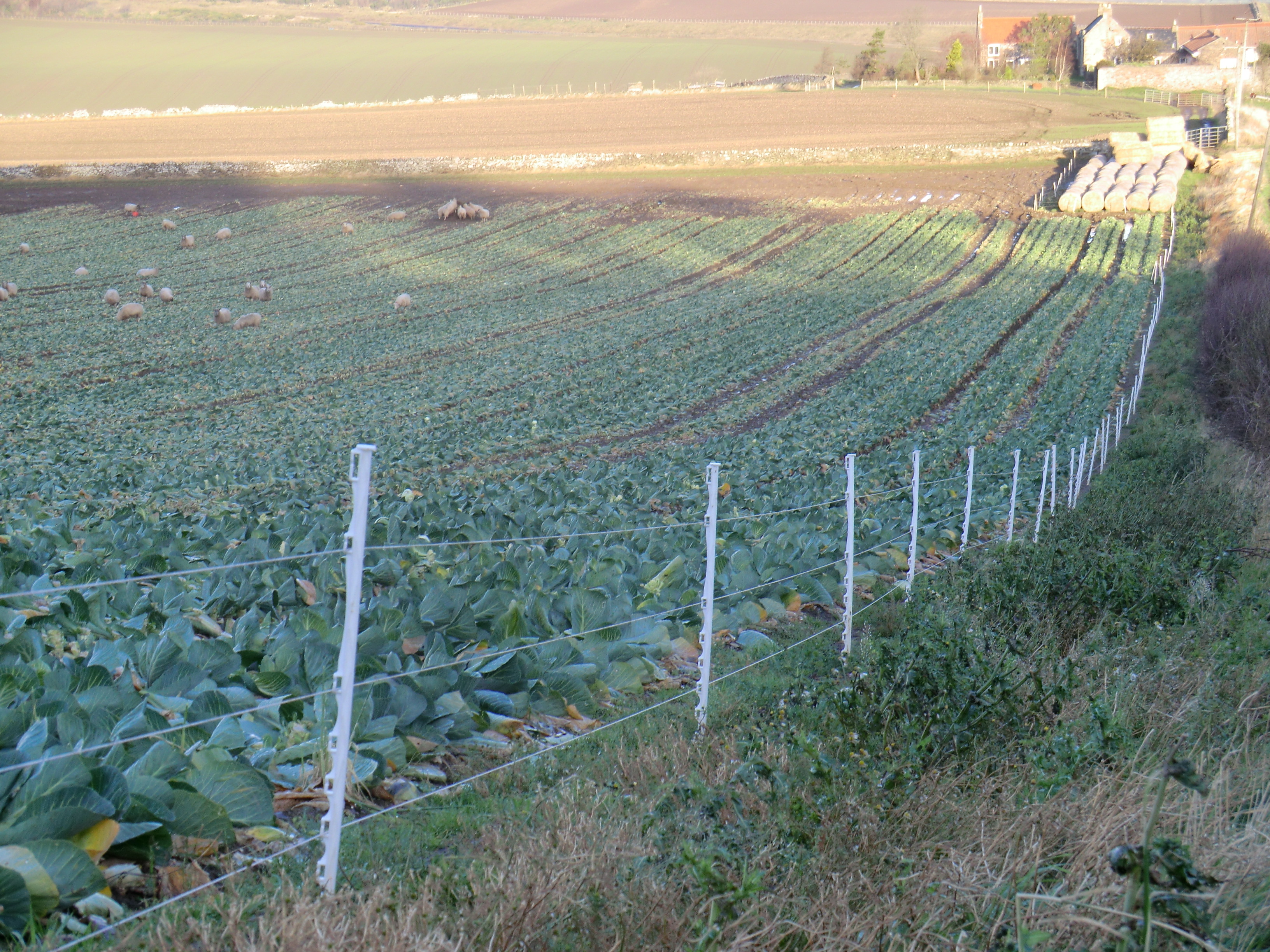 Electric Fence Three Reel System | Electric Fencing Direct