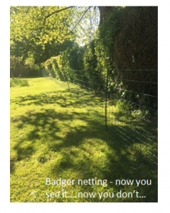 electric fencing to protect your garden,electric fencing to protect ...