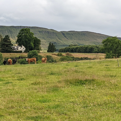 Ask The Expert - Zone or Cell Grazing For Cattle Using an Electric Fence