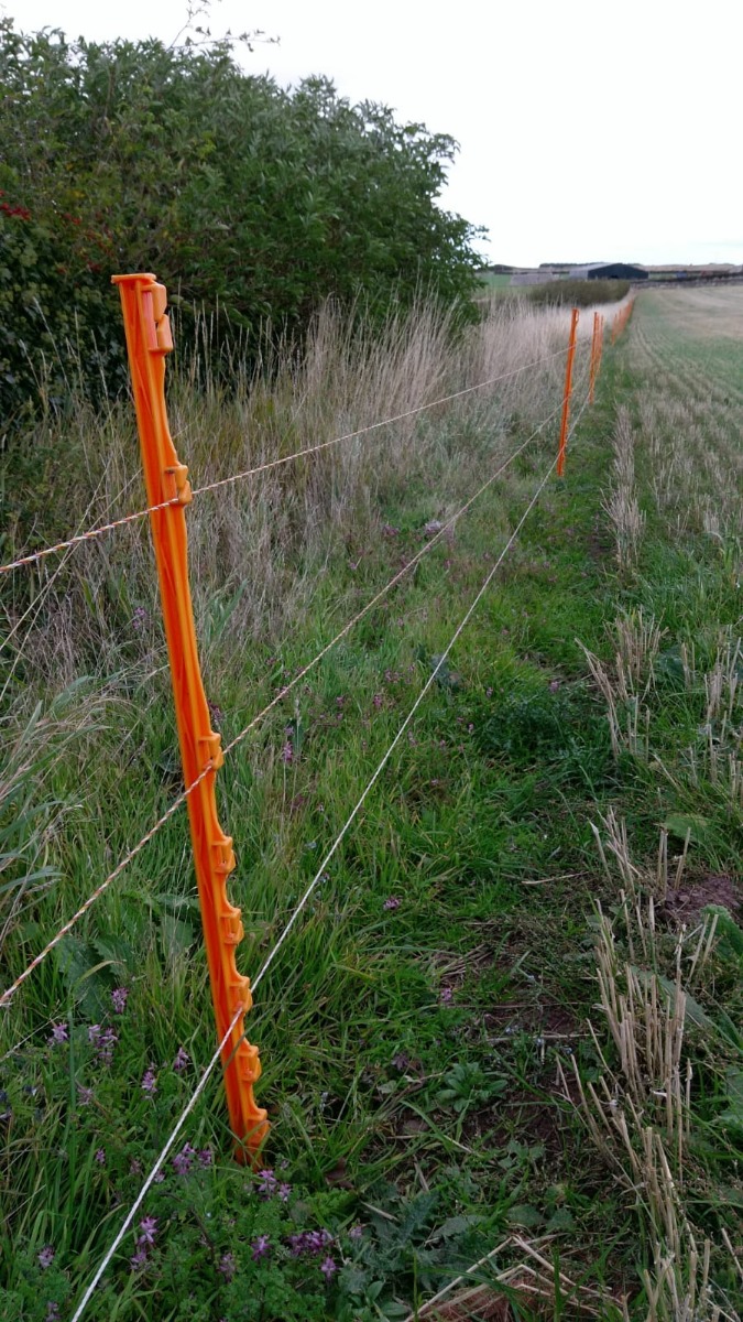 Electric Fence Three Reel System - Autumn Offer | Electric Fencing Direct