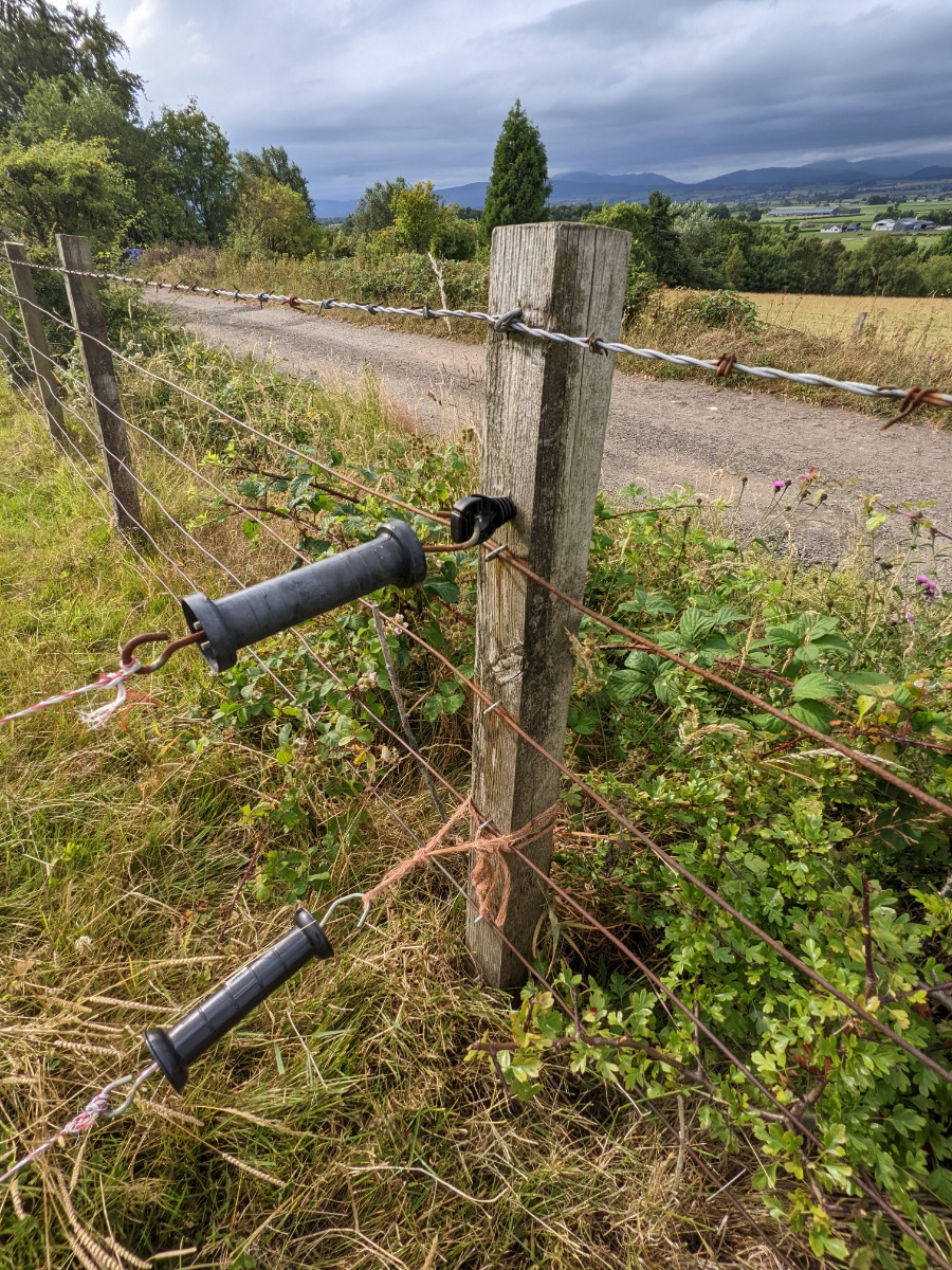 Ask The Expert - Zone or Cell Grazing For Cattle Using an Electric Fence