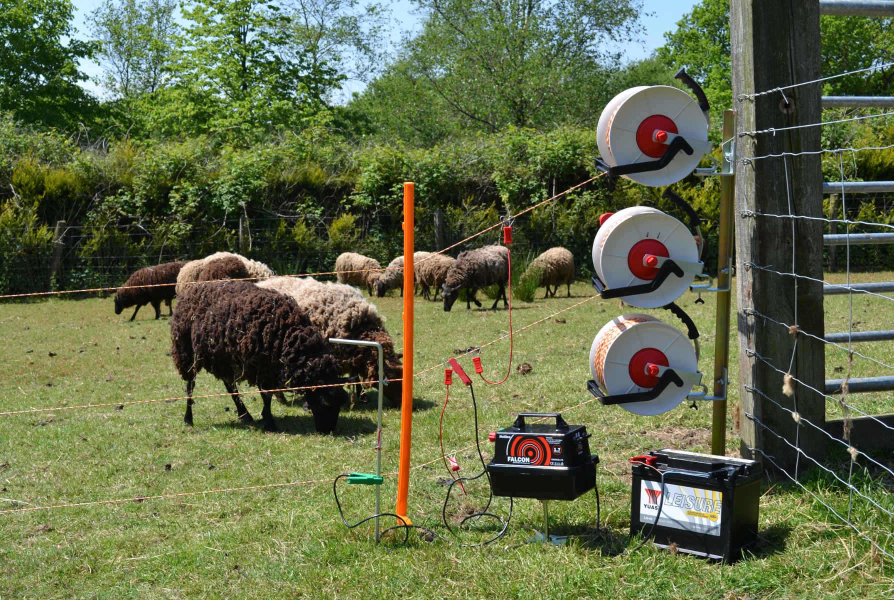 Offers - Three Reel Systems and more