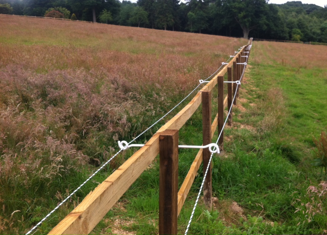 Are Electric Dog Fences Illegal Are Containment Fences Legal