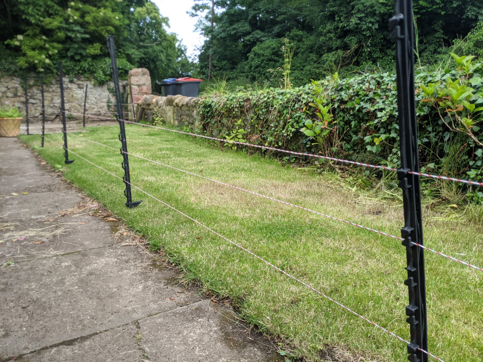 Ask The Expert - Predator Electric Fencing